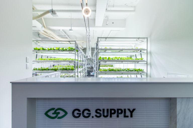 GG.SUPPLY | 株式会社のあ建築設計 | 福岡のデザイナーズ注文住宅